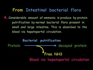 Formation and fate of ammonia | PPTX