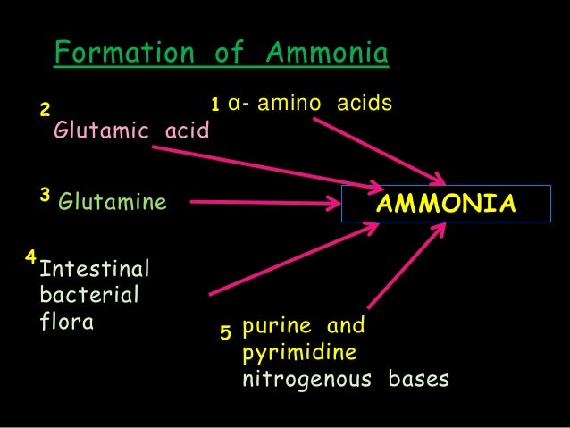 Formation and fate of ammonia