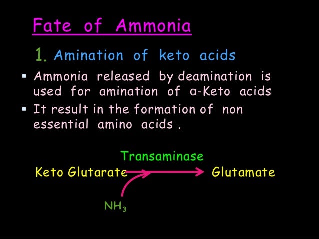 Formation and fate of ammonia