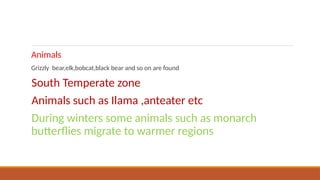 CLASS 5 Life in the different climatic zones.pptx