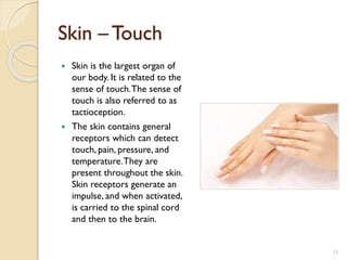Class 5 PPT on Human Sense Organ (1).pdf