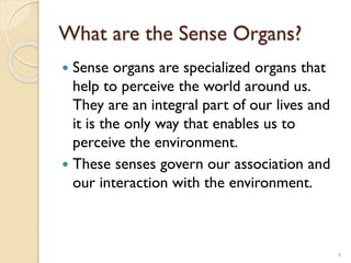 Class 5 PPT on Human Sense Organ (1).pdf