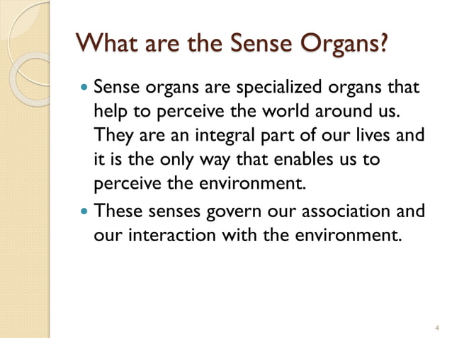 Class 5 PPT on Human Sense Organ (1).pdf