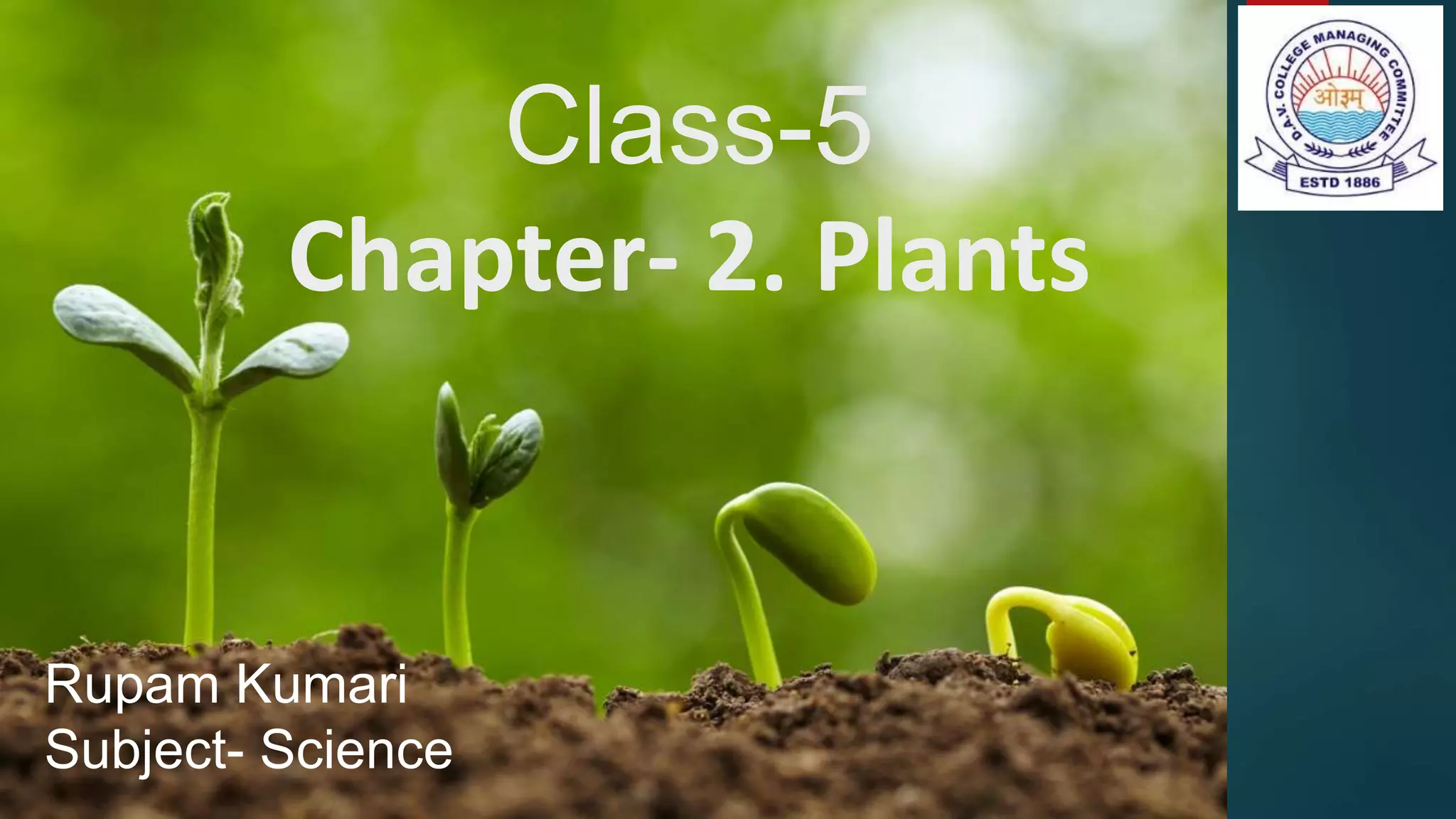 DAV Class 5 Plants | PPTX