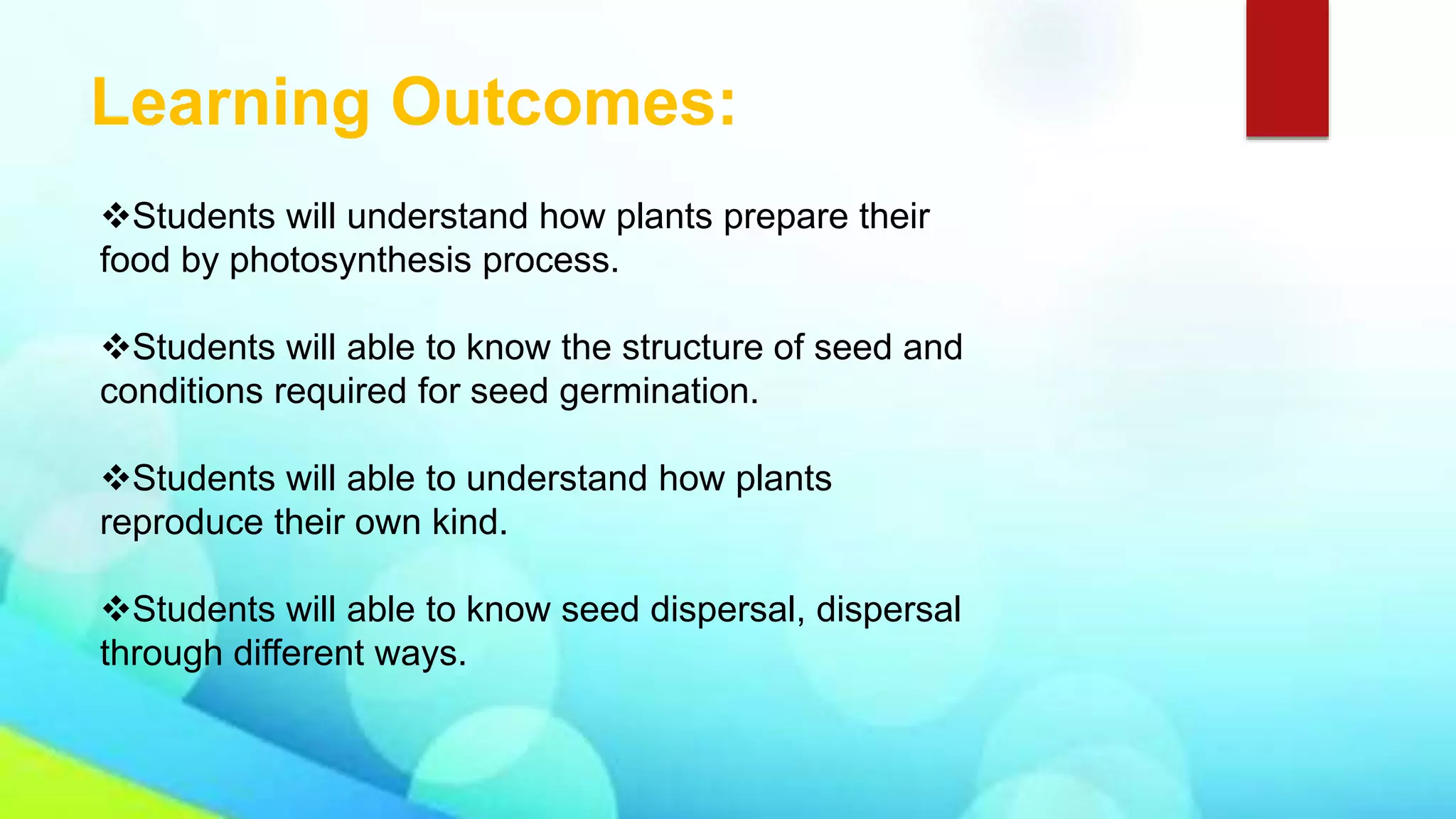 DAV Class 5 Plants | PPTX