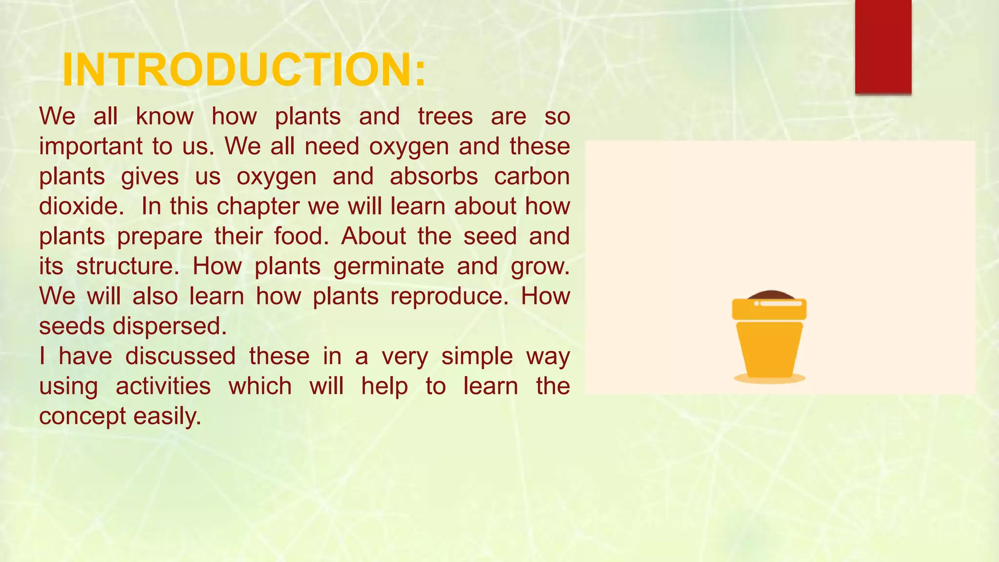 DAV Class 5 Plants | PPTX