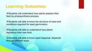 DAV Class 5 Plants | PPTX