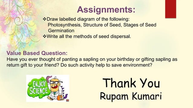 DAV Class 5 Plants | PPTX | Gardening | Home & Garden
