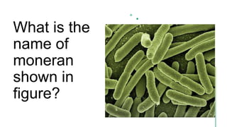 class 5 slides quiz.pptx