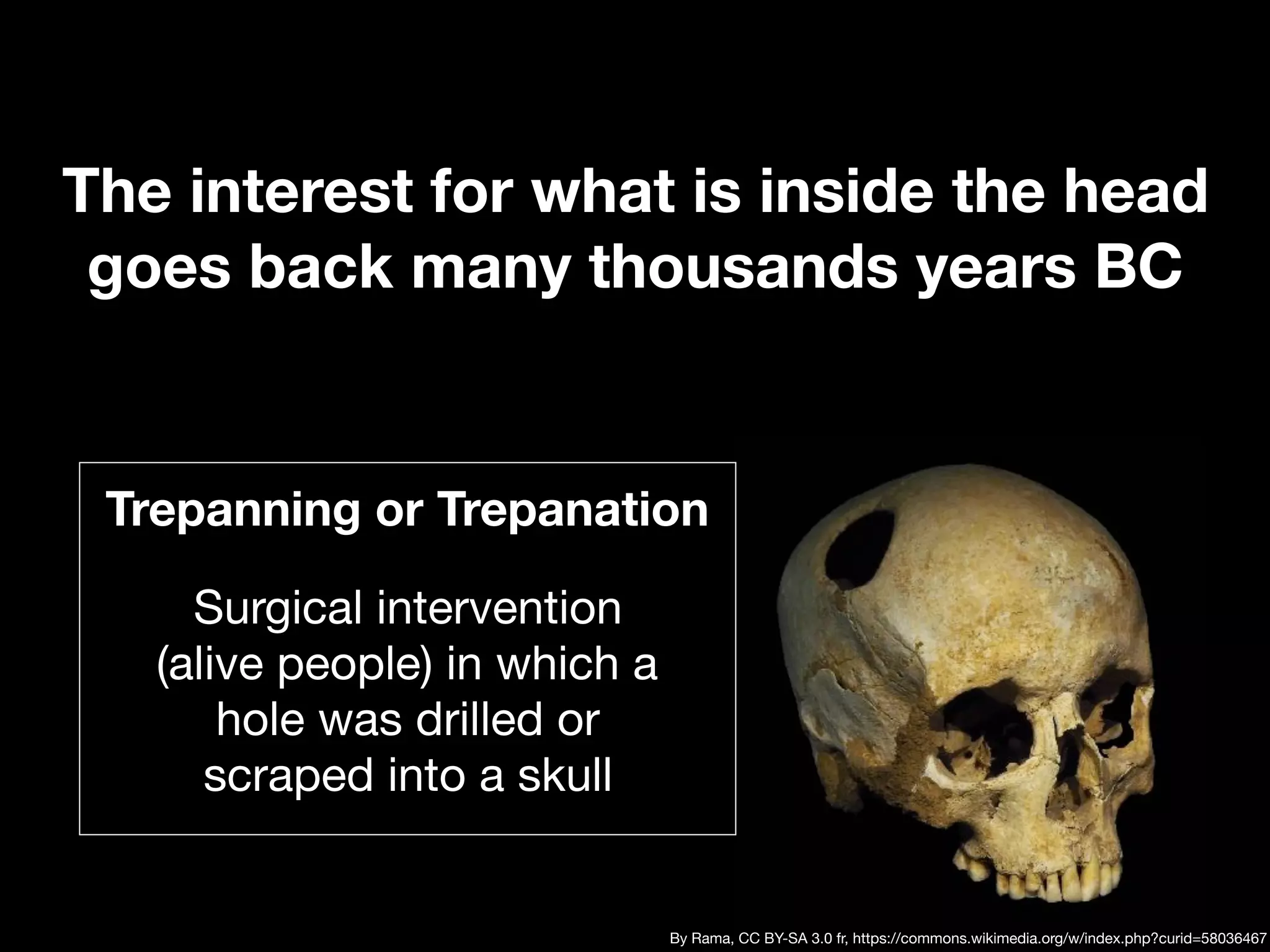 Class5 - The Mind-brain Problem | PPT