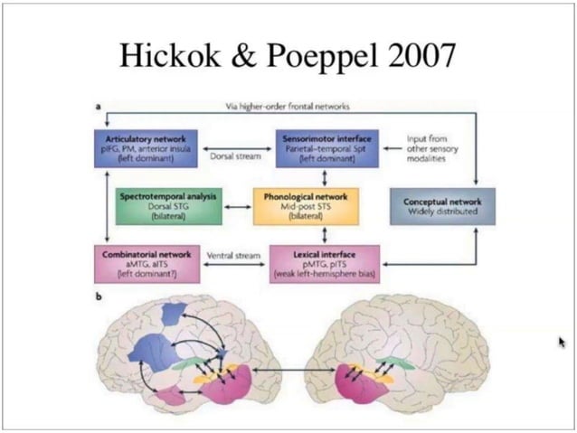 Class5 - The Mind-brain Problem | PDF