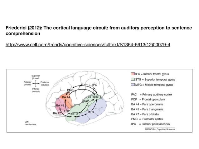 Class5 - The Mind-brain Problem | PDF