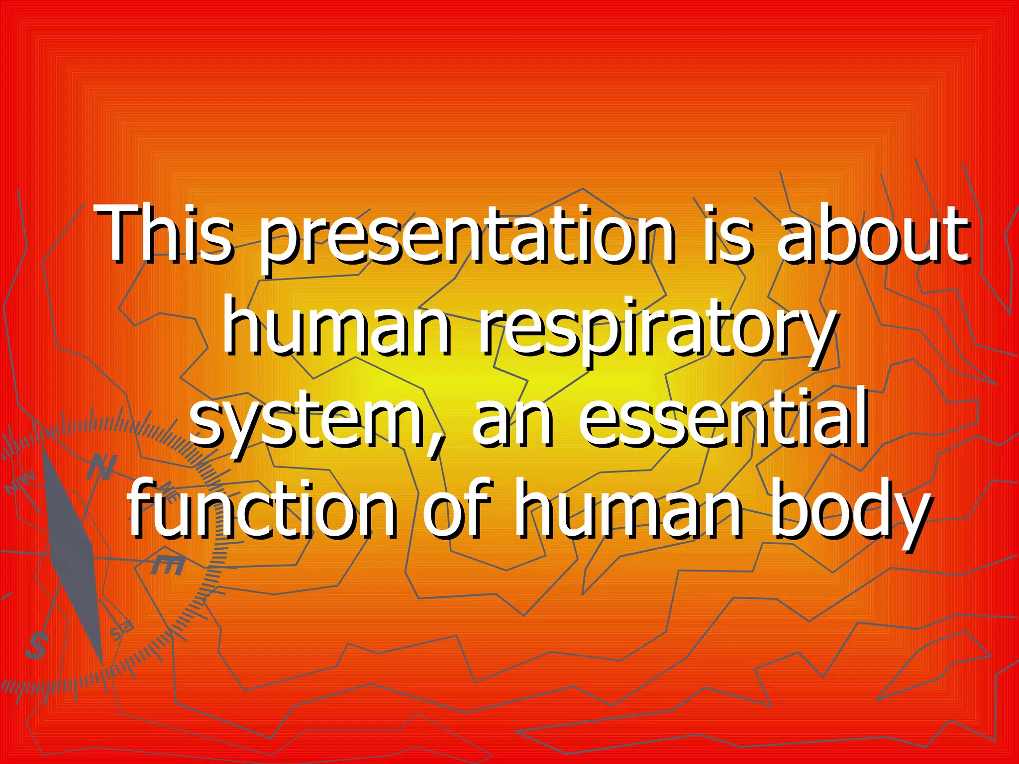 Class6 Human Respiratory System | PPT