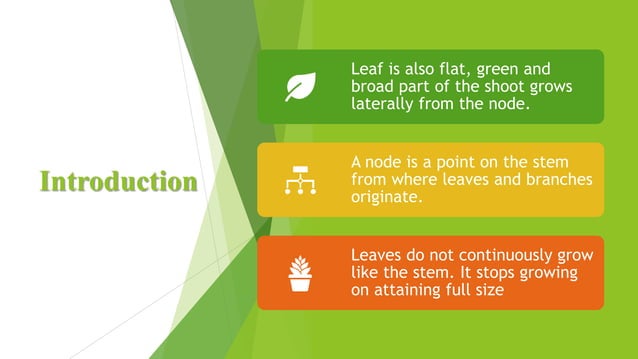 The Leaf - I | PPTX | Gardening | Home & Garden