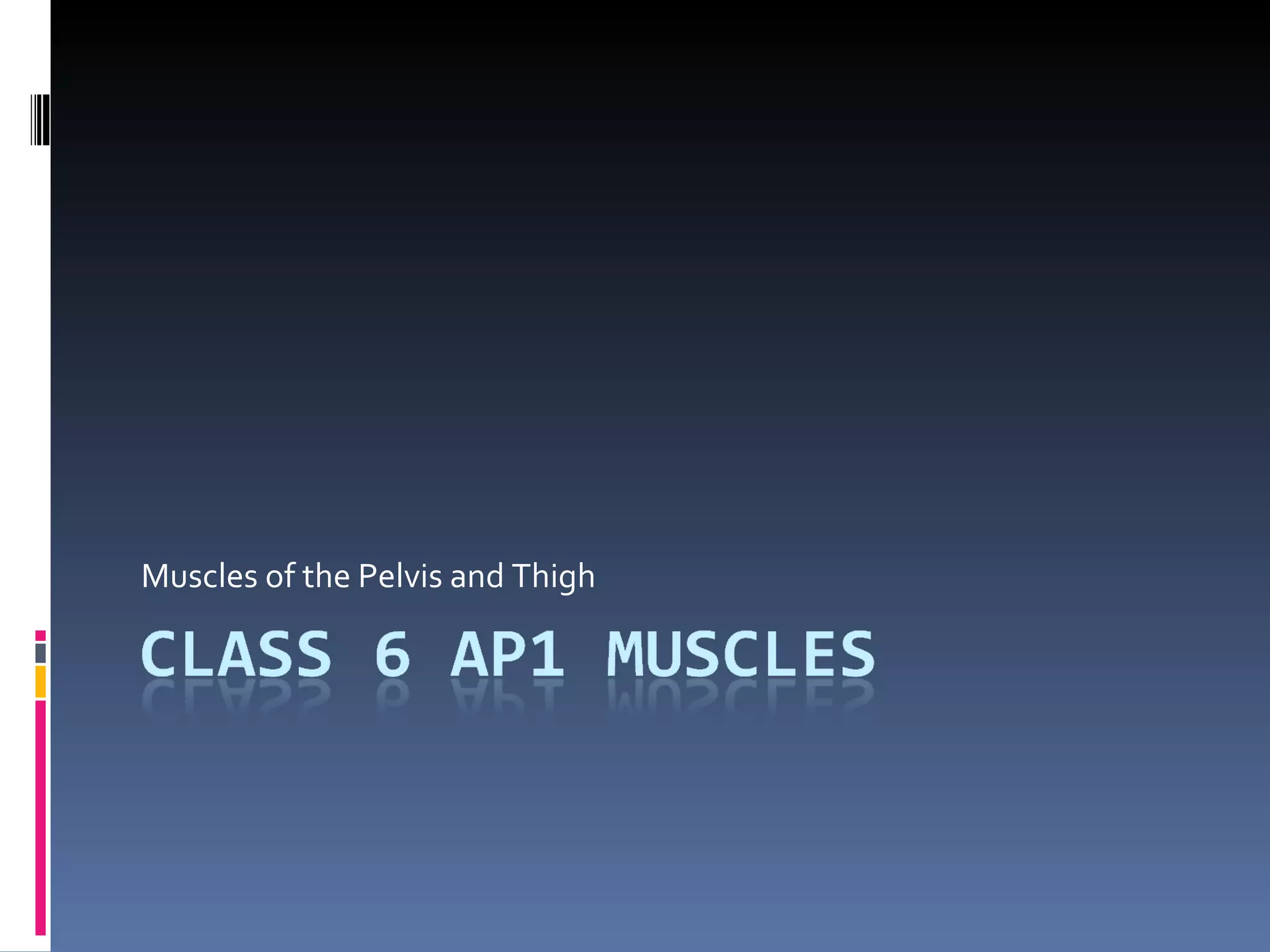 Class 6 Ap1 Muscles | PPT