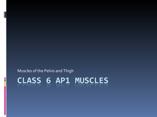 Class 6 Ap1 Muscles | PPT