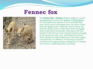 Class 6 b english | PPTX