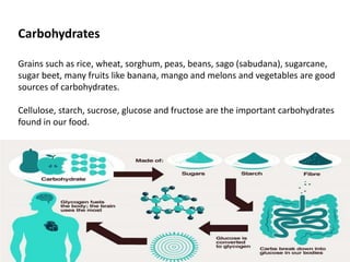 Class6 ch2 COMPONENTS OF FOOD.pptx