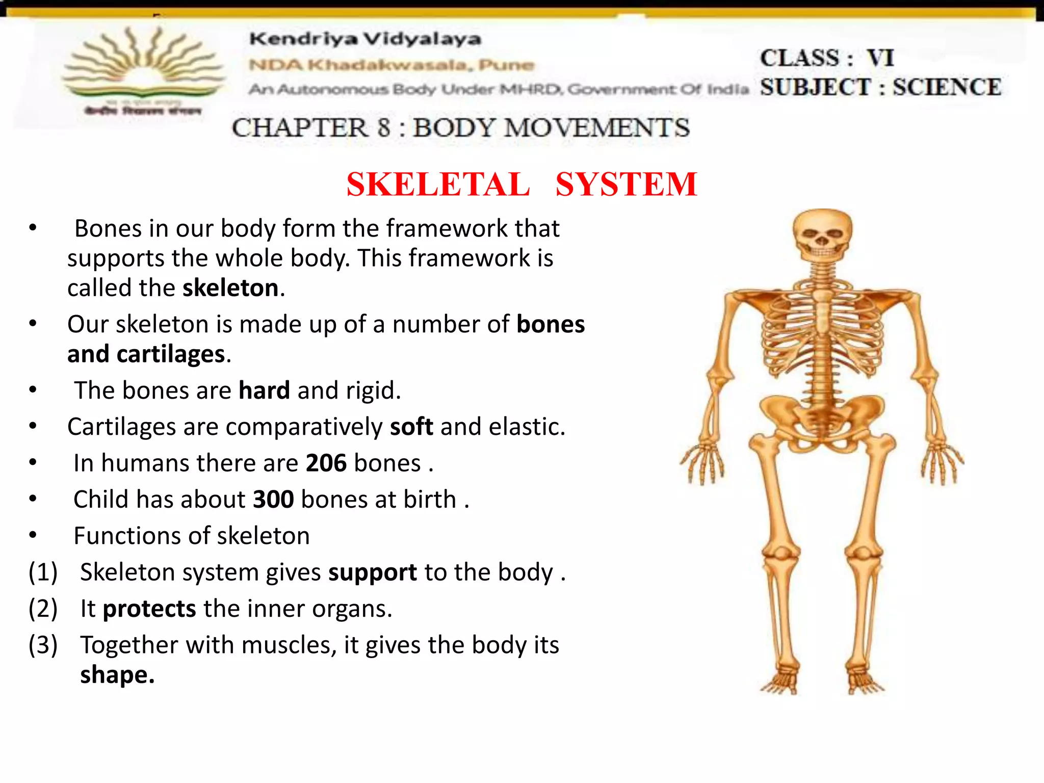 Class 6 chapter 8 ppt 2 | PPTX
