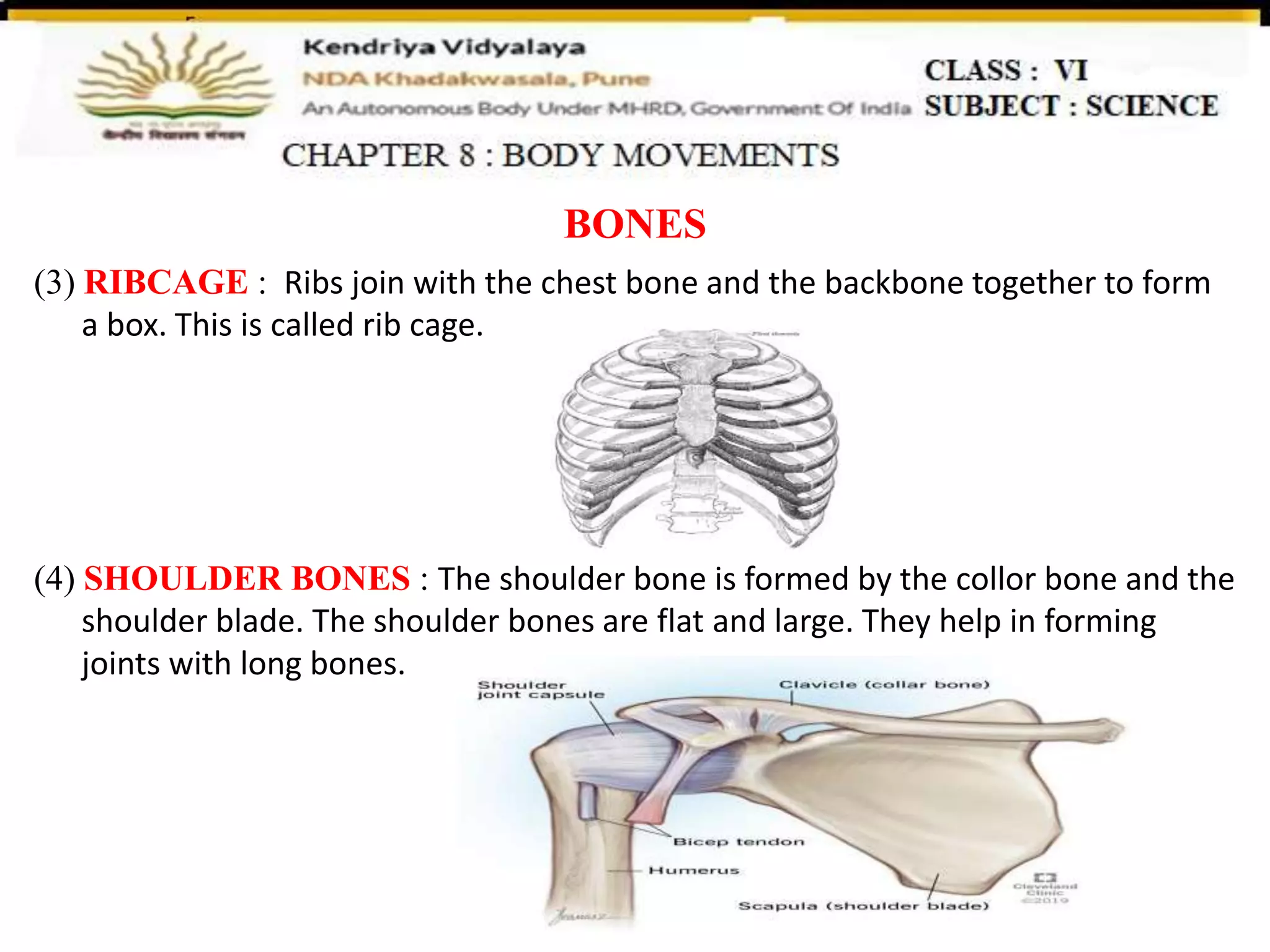 Class 6 chapter 8 ppt 2 | PPTX