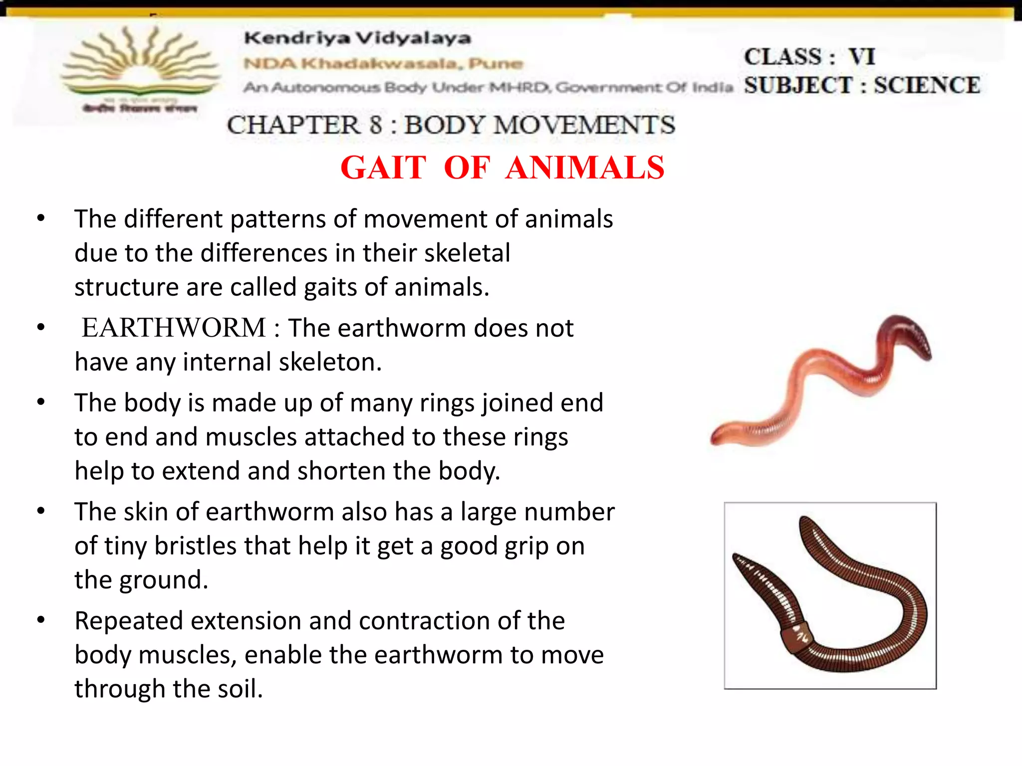 Class 6 chapter 8 ppt 3 | PPTX