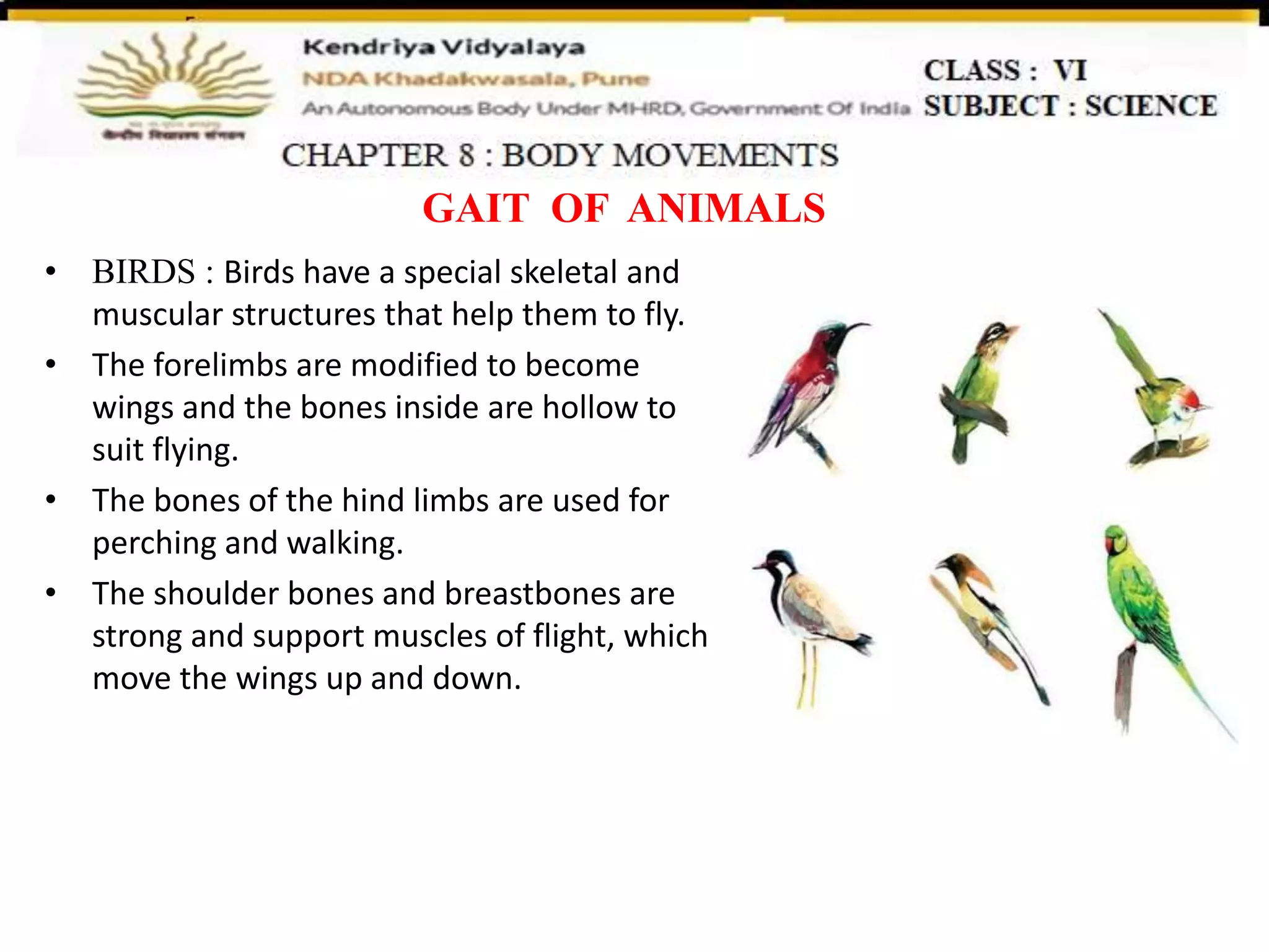 Class 6 chapter 8 ppt 3 | PPTX