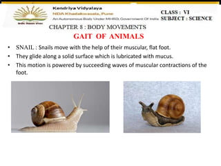 Class 6 chapter 8 ppt 3 | PPTX