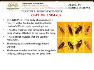 Class 6 chapter 8 ppt 3 | PPTX