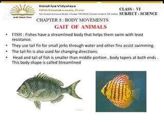 Class 6 chapter 8 ppt 3 | PPTX