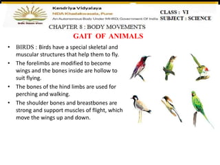 Class 6 chapter 8 ppt 3 | PPTX
