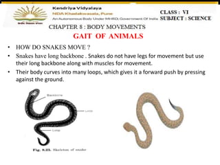 Class 6 chapter 8 ppt 3 | PPTX