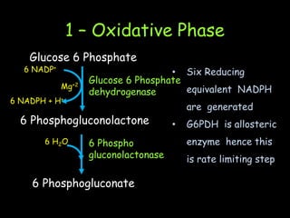 Class 6 hmp pathway | PPTX