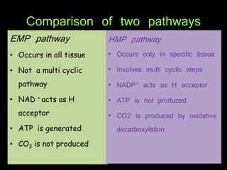 Class 6 hmp pathway | PPTX | Endocrine and Metabolic Diseases ...