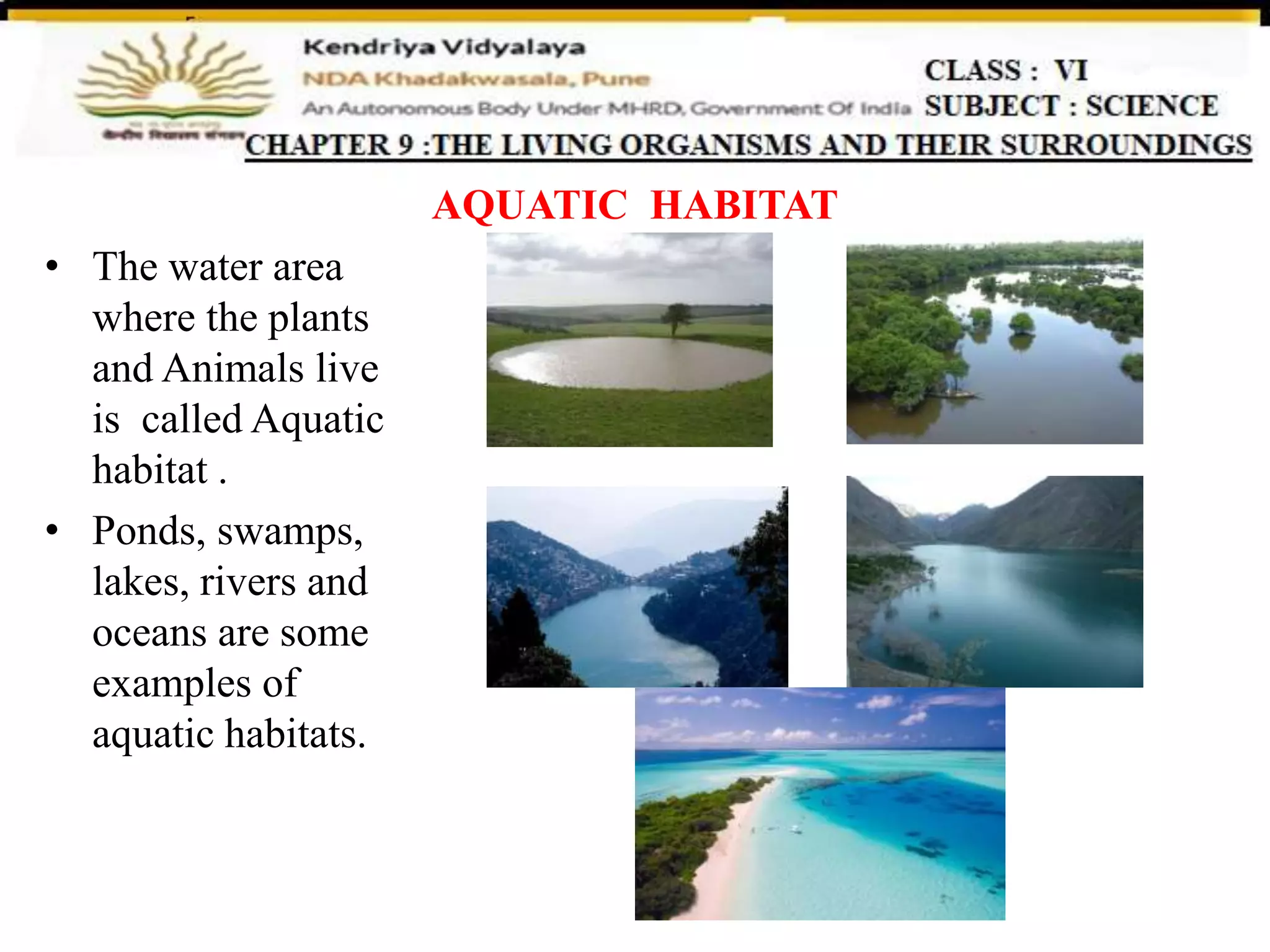 Class 6 ppt 2 living organisms | PPTX