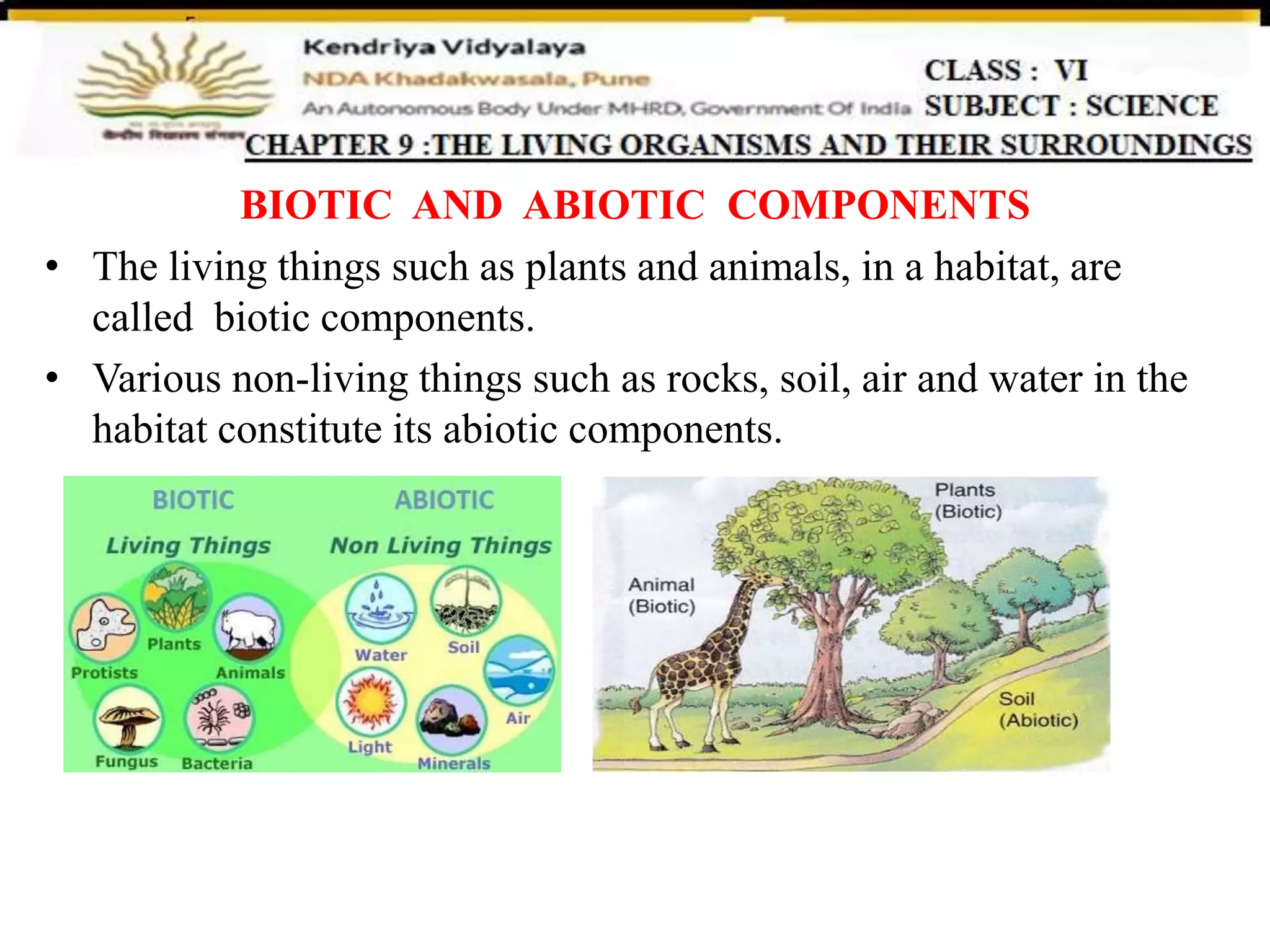 Class 6 ppt 2 living organisms | PPTX