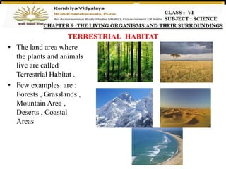 Class 6 ppt 2 living organisms | PPTX