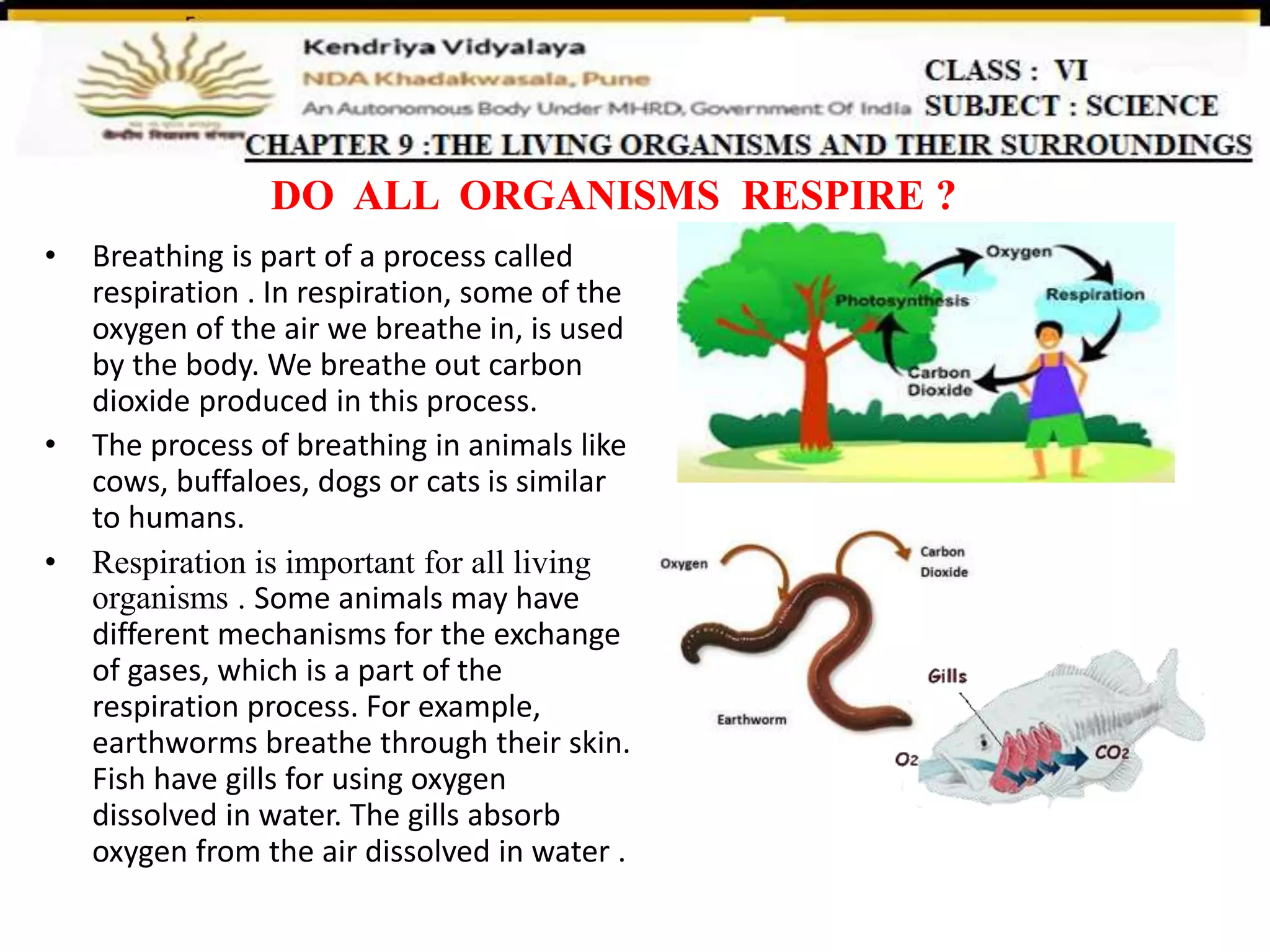 Class 6 ppt 4 living organisms | PPTX