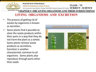 Class 6 ppt 4 living organisms | PPTX