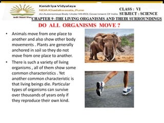 Class 6 ppt 4 living organisms | PPTX