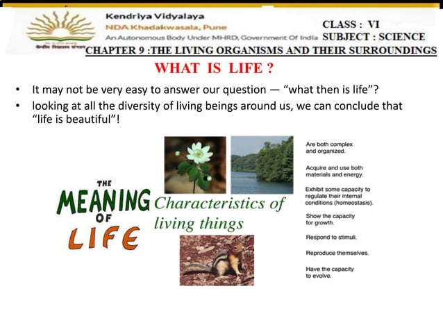 Class 6 ppt 4 living organisms | PPTX | Biological Sciences | Science