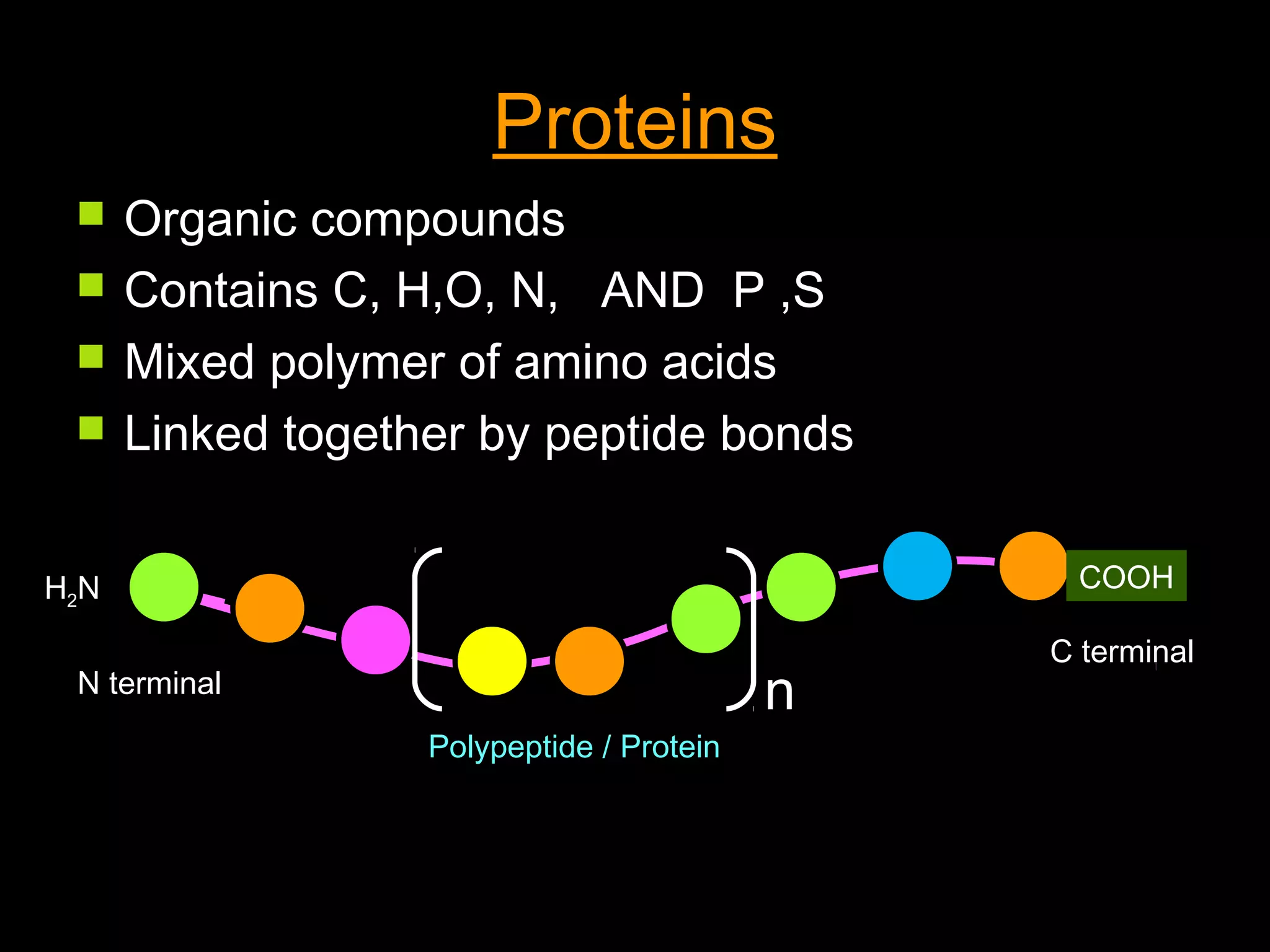 Class 6 protein chemical clssification | PPT