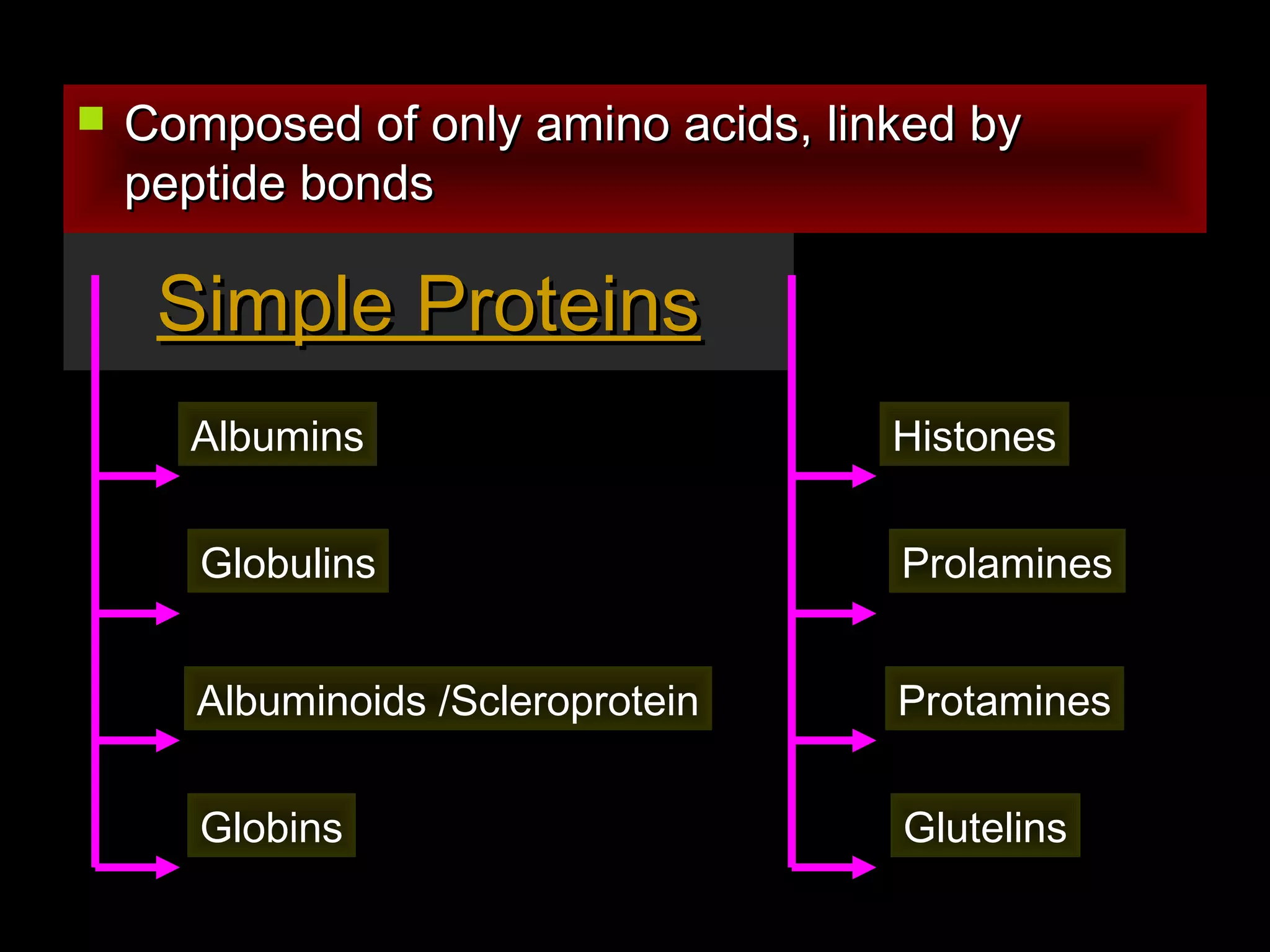 Class 6 protein chemical clssification | PPT