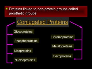 Class 6 protein chemical clssification | PPT