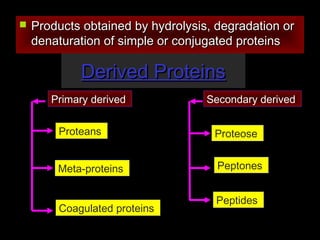 Class 6 protein chemical clssification | PPT