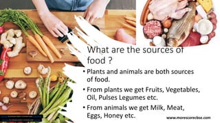 Class 6 Science Sources of food.pptx