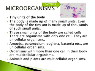 Casket of life #plant#animals#cells#types | PPTX