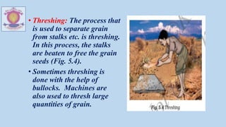 Class 6th Chapter 5 Seperation of substances.pptx