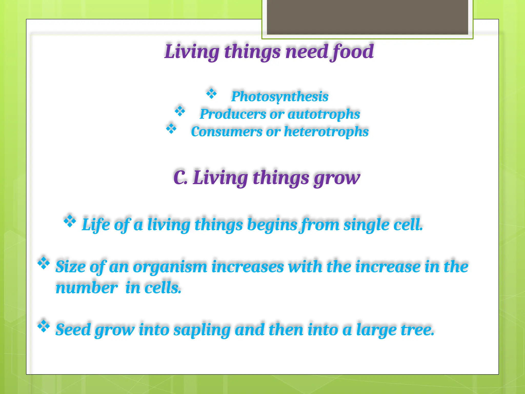 CHAPTER 7 THINGS AROUND US Class 6.pptx
