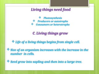CHAPTER 7 THINGS AROUND US Class 6.pptx