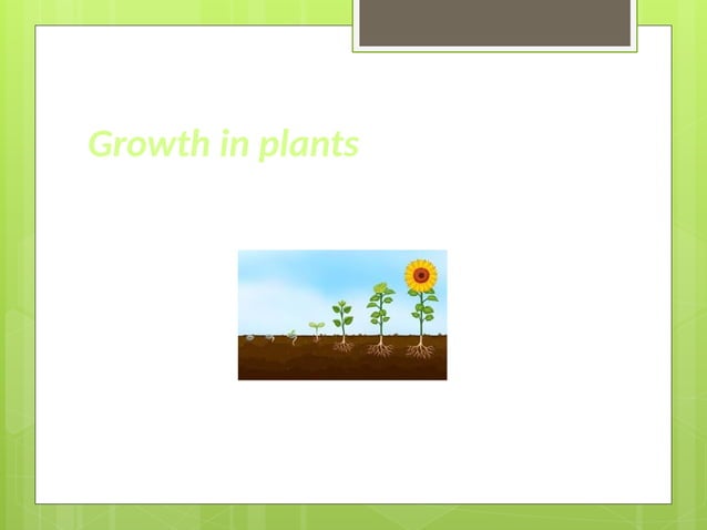 CHAPTER 7 THINGS AROUND US Class 6.pptx | Biological Sciences | Science